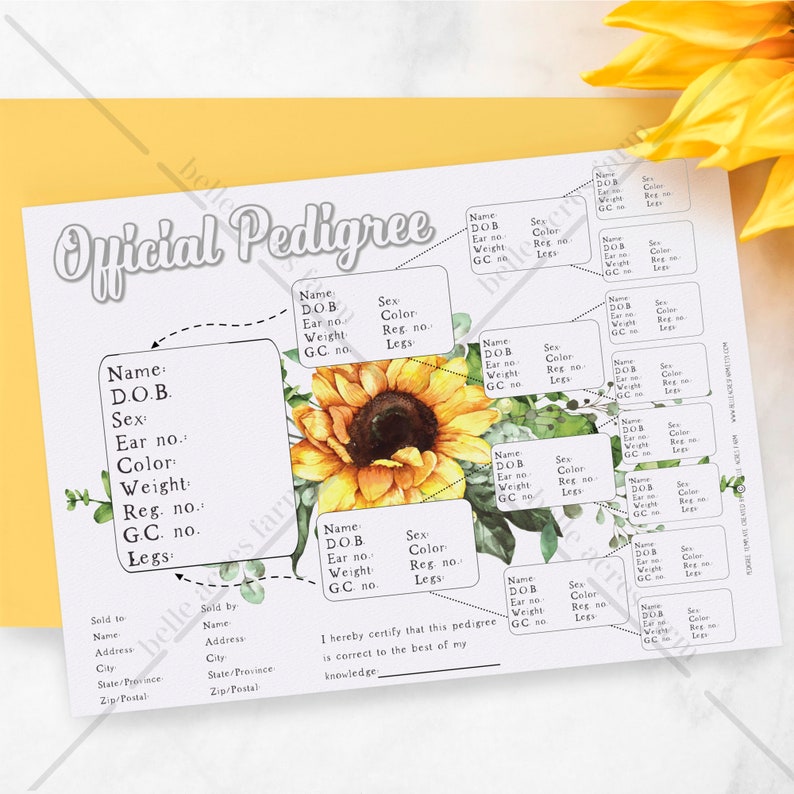 rabbit-pedigree-template-rabbitry-pedigree-printable-etsy