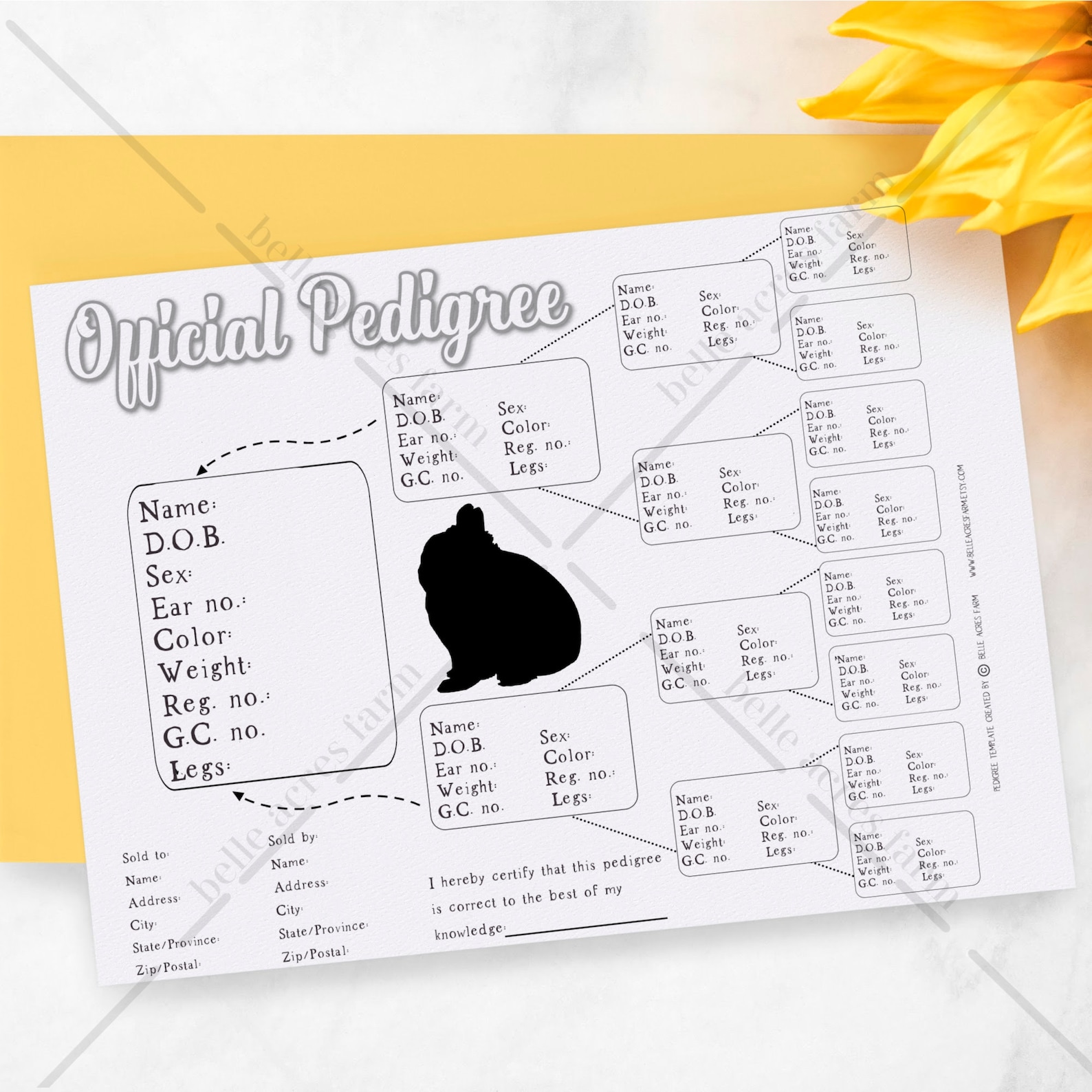 Rabbit Pedigree Template, Rabbitry Pedigree, Printable Pedigree, DIY ...