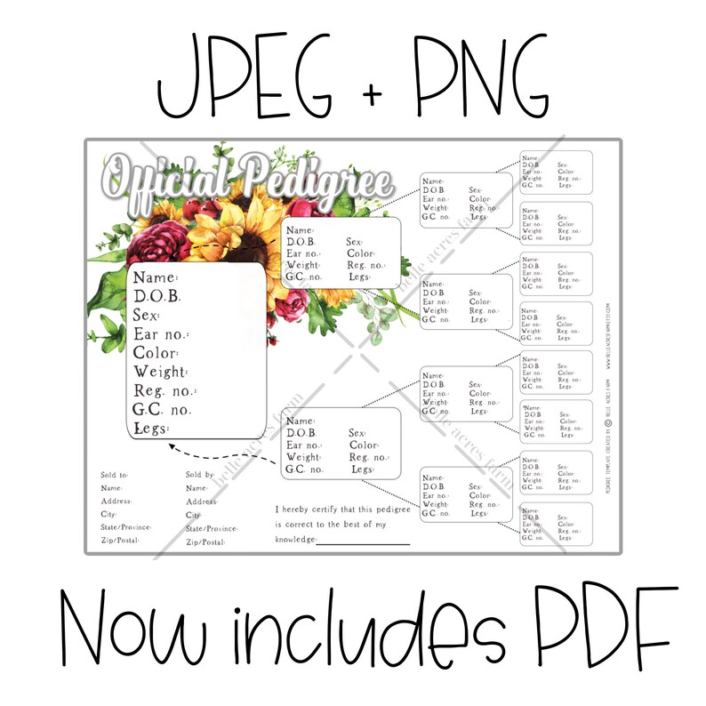 Rabbit Pedigree Template Rabbitry Pedigree Printable - Etsy Canada