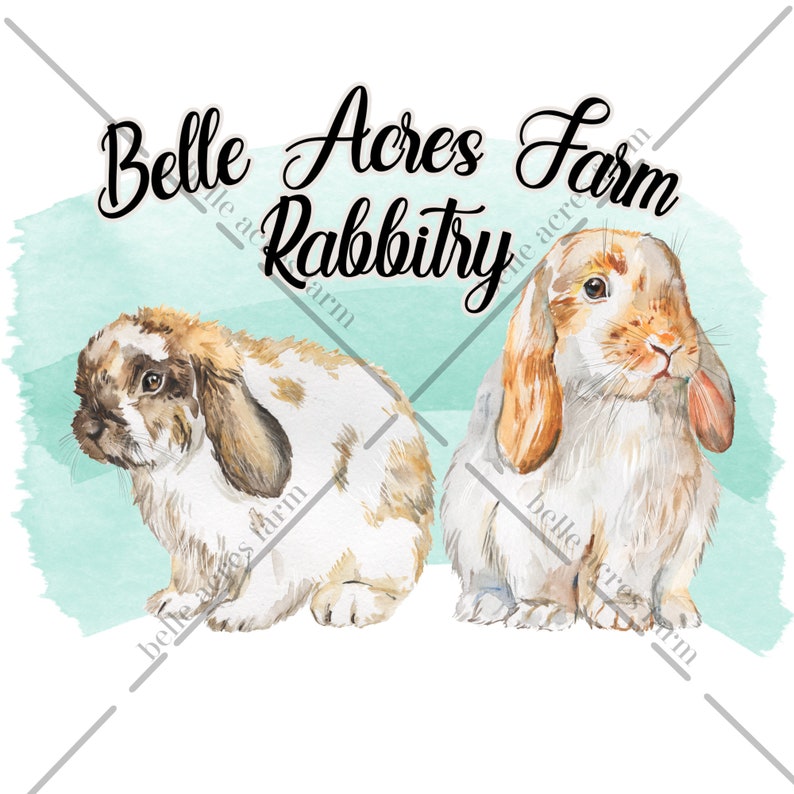 Rabbit Logo Rabbitry Logo Rabbitry Branding Holland Lops French Lops ...