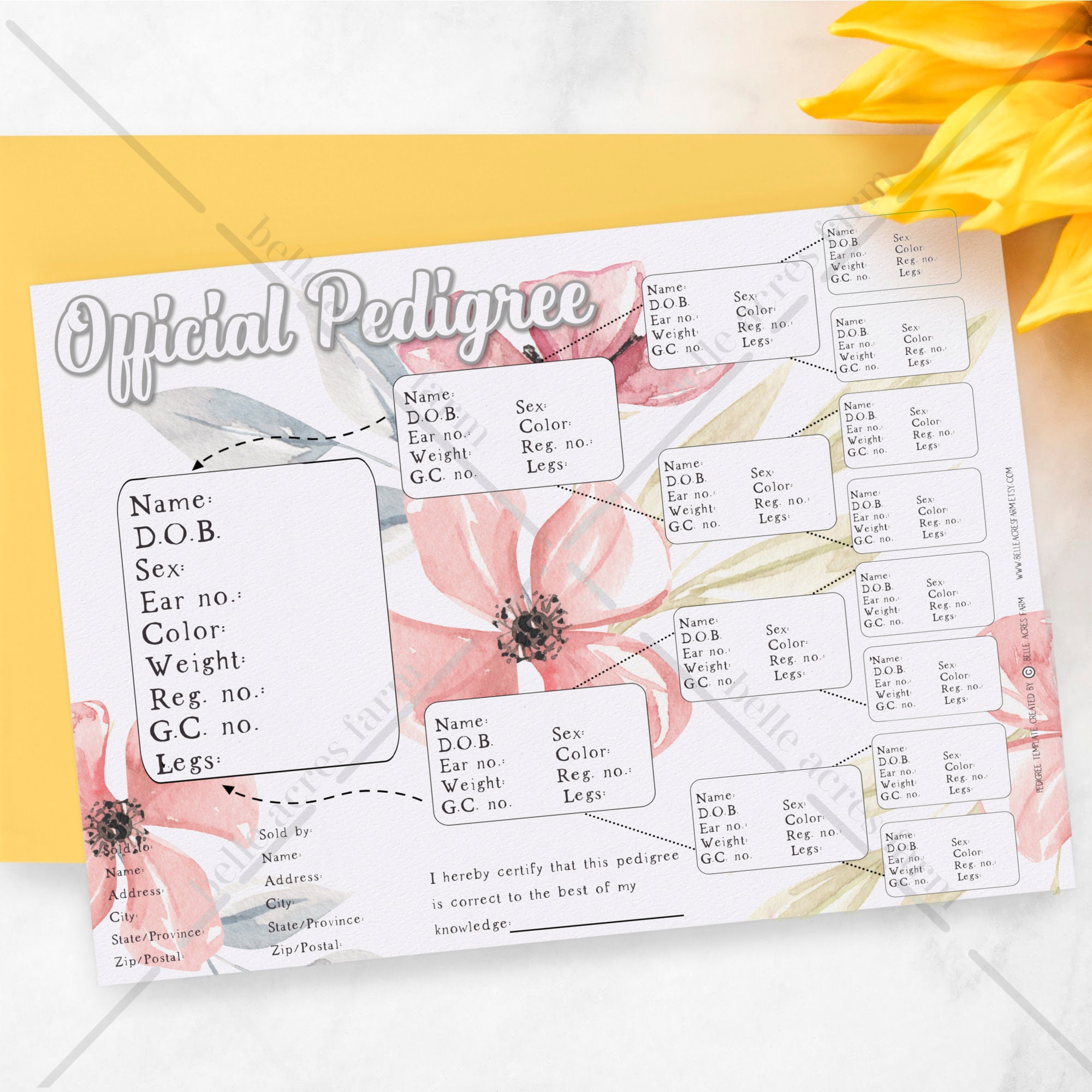 Rabbit Pedigree Template, Rabbitry Pedigree, Printable Pedigree, DIY ...