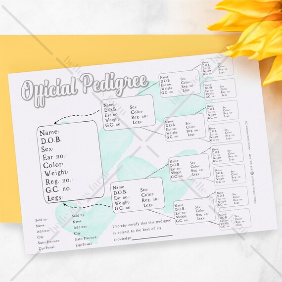 Rabbit Pedigree Template Rabbitry Pedigree Printable - Etsy