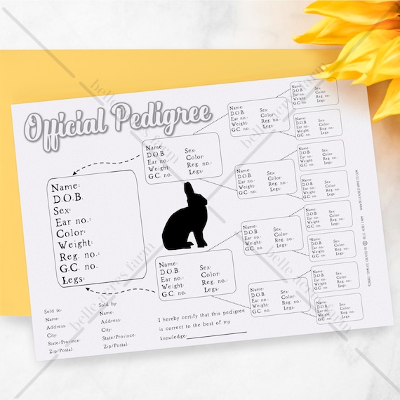 Rabbit Pedigree Template Rabbitry Pedigree Printable | Etsy