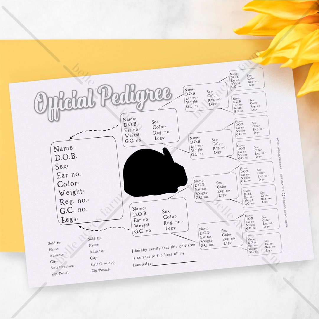Rabbit Pedigree Template, Rabbitry Pedigree, Printable Pedigree, DIY ...
