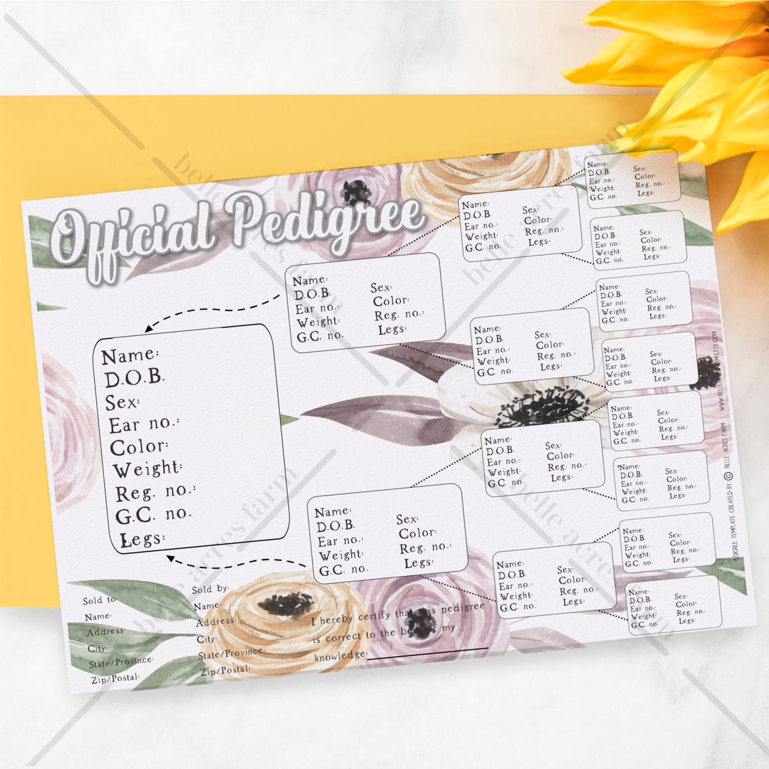 Rabbit Pedigree Template, Rabbitry Pedigree, Printable Pedigree, DIY ...
