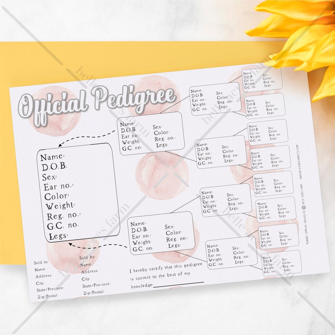 Rabbit Pedigree Template Rabbitry Pedigree Printable - Etsy