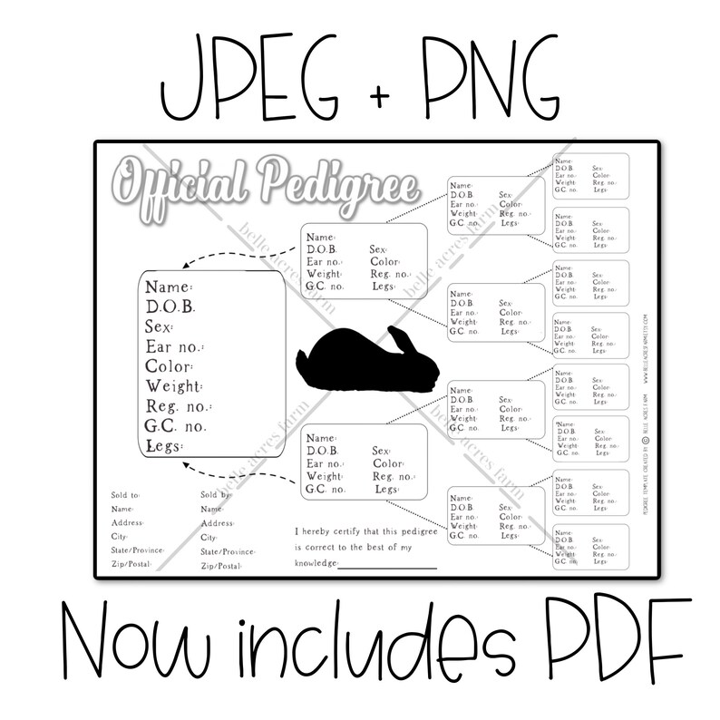 Rabbit Pedigree Template, Rabbitry Pedigree, Printable Pedigree, DIY ...