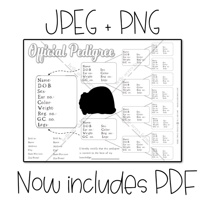 Rabbit Pedigree Template, Rabbitry Pedigree, Printable Pedigree, DIY ...