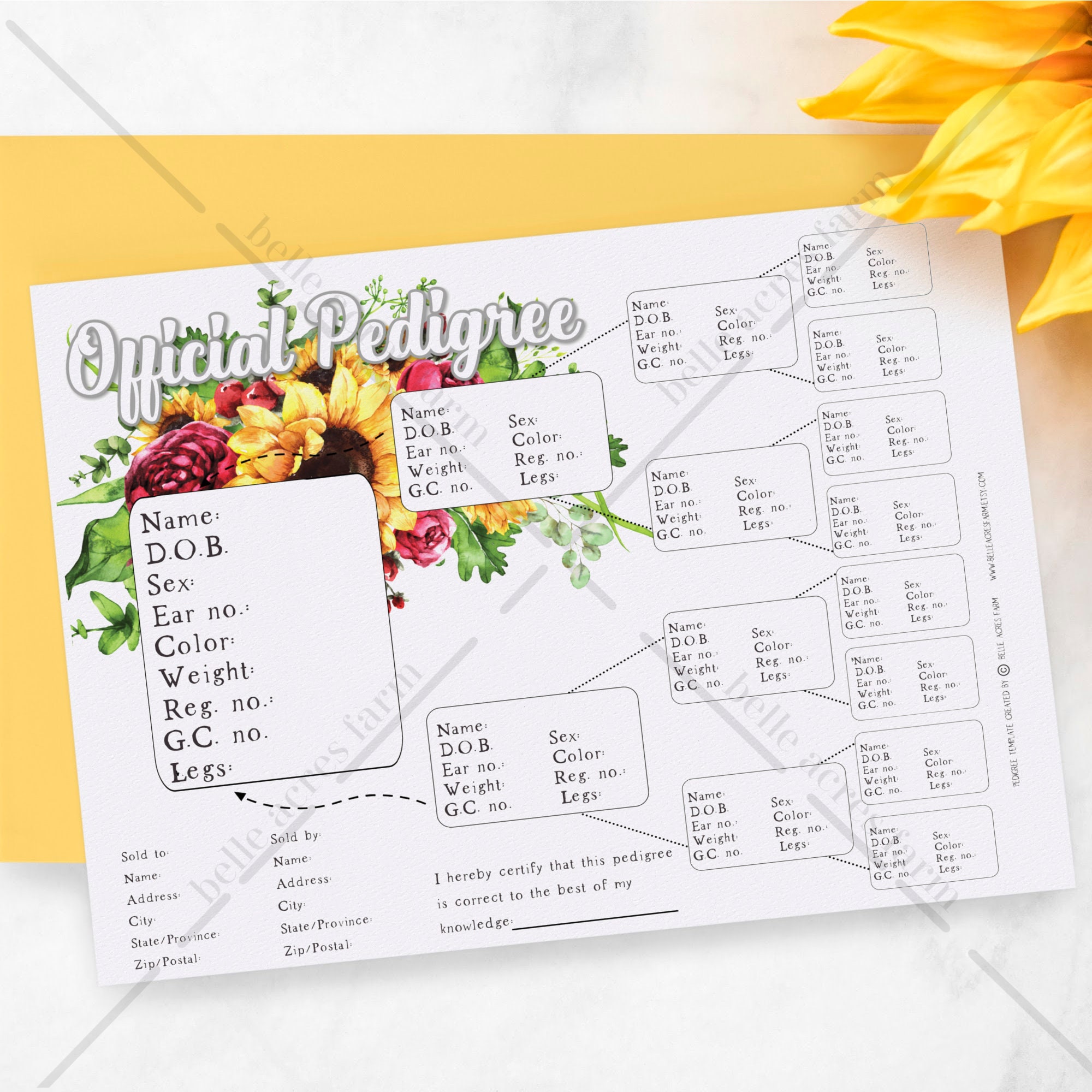 Rabbit Pedigree Template Rabbitry Pedigree Printable Etsy Canada