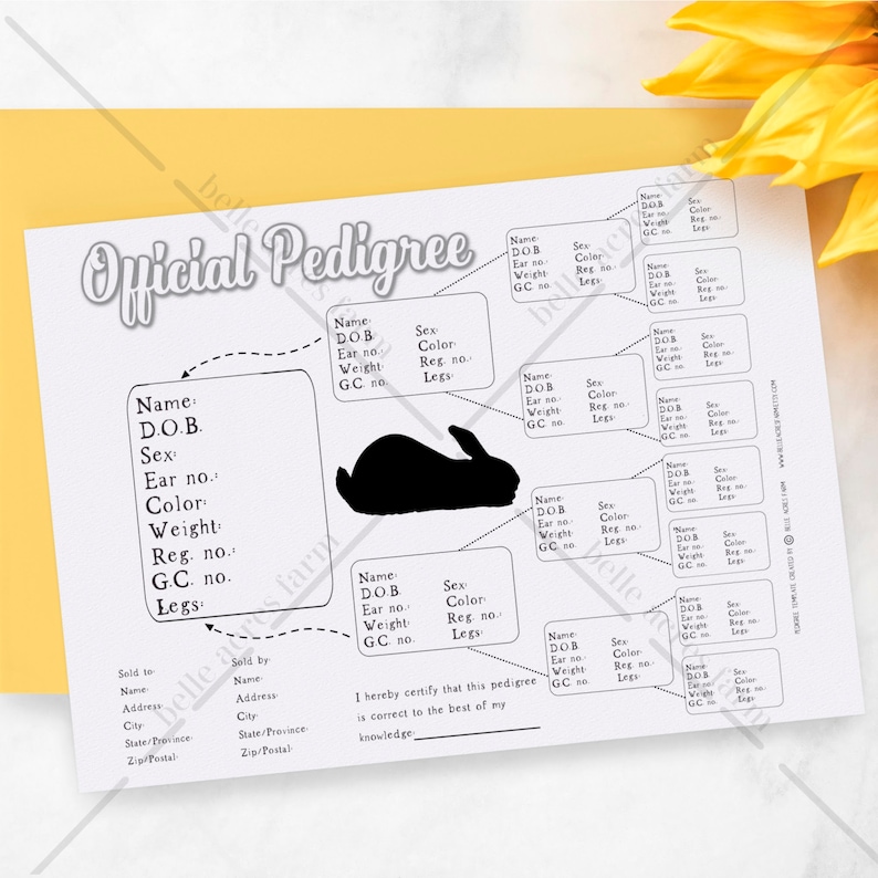 rabbit-pedigree-template-rabbitry-pedigree-printable-etsy