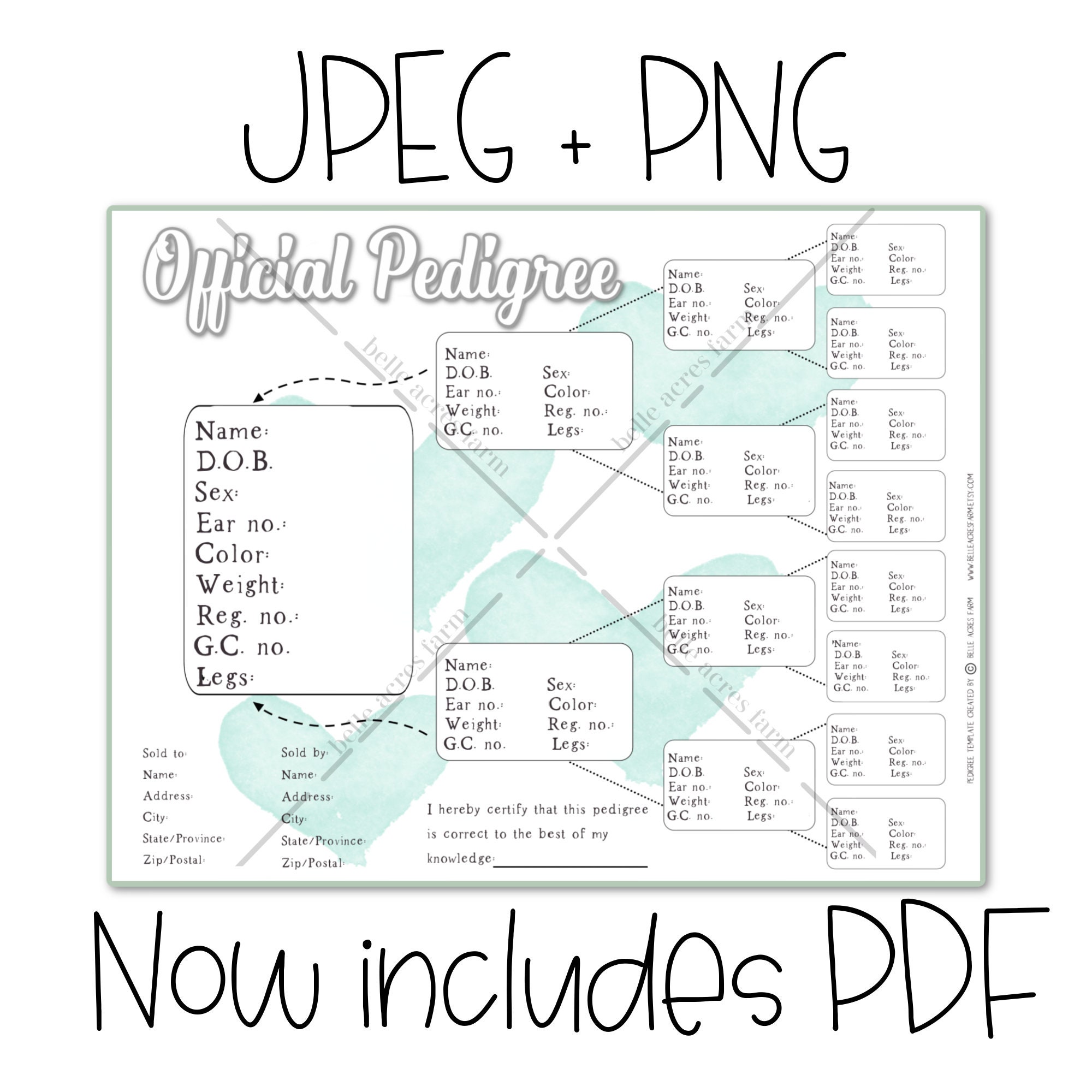 Rabbit Pedigree Template, Rabbitry Pedigree, Printable Pedigree, DIY ...