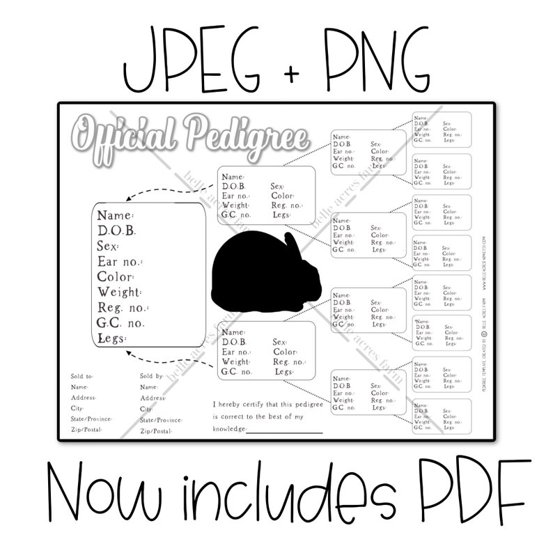 Rabbit Pedigree Template, Rabbitry Pedigree, Printable Pedigree, DIY ...