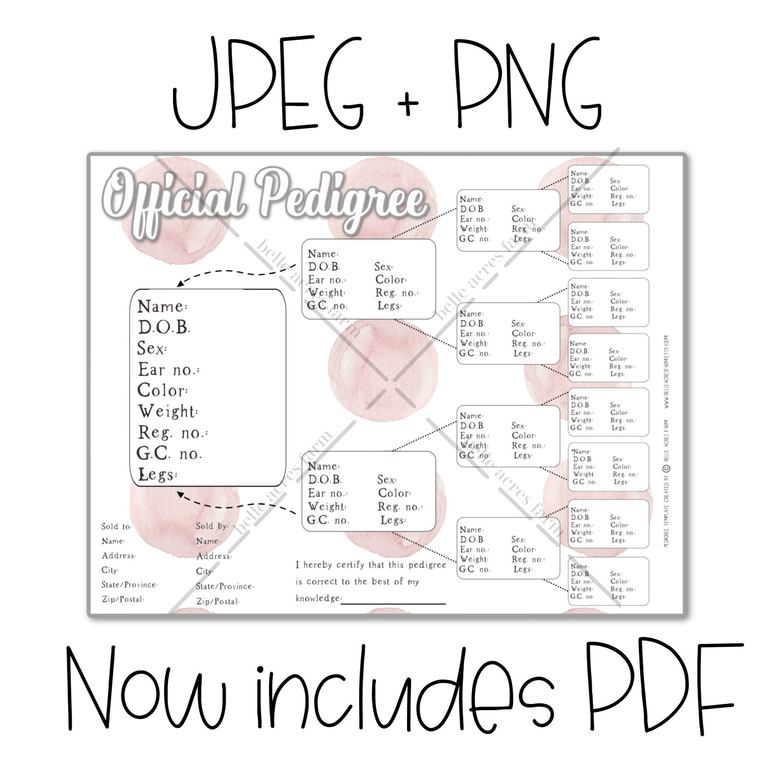 Rabbit Pedigree Template Rabbitry Pedigree Printable - Etsy