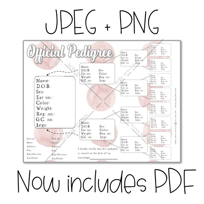 Rabbit Pedigree Template Rabbitry Pedigree Printable - Etsy