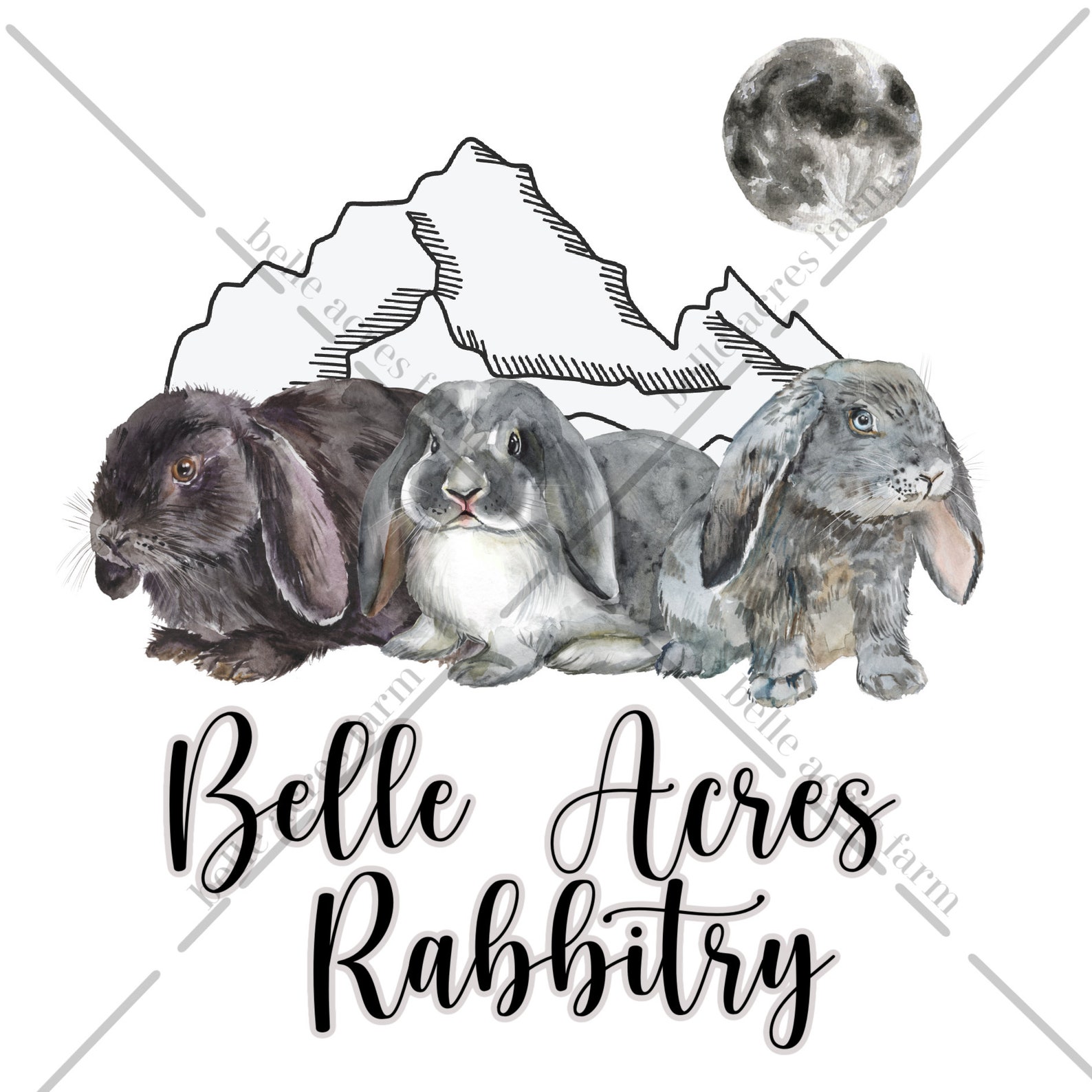 Rabbitry Logo, Rabbit Logo, Bunny Logo, ARBA Breeder, Holland Lop, Lop ...