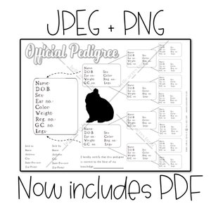 Rabbit Pedigree Template, Rabbitry Pedigree, Printable Pedigree, DIY ...