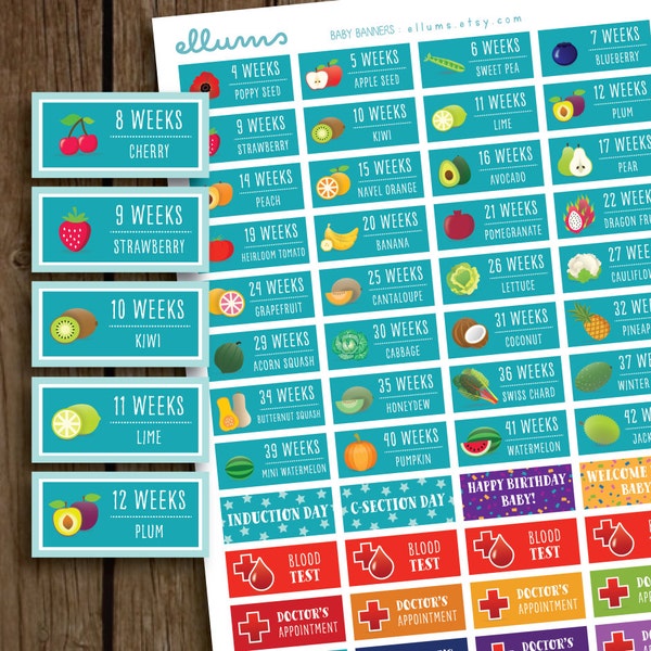 Pregnancy Stickers - Etsy