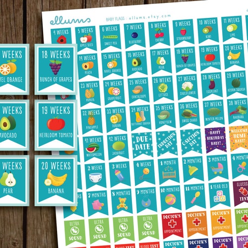 Maternity Stickers Printable Pregnancy Planner Stickers - Etsy
