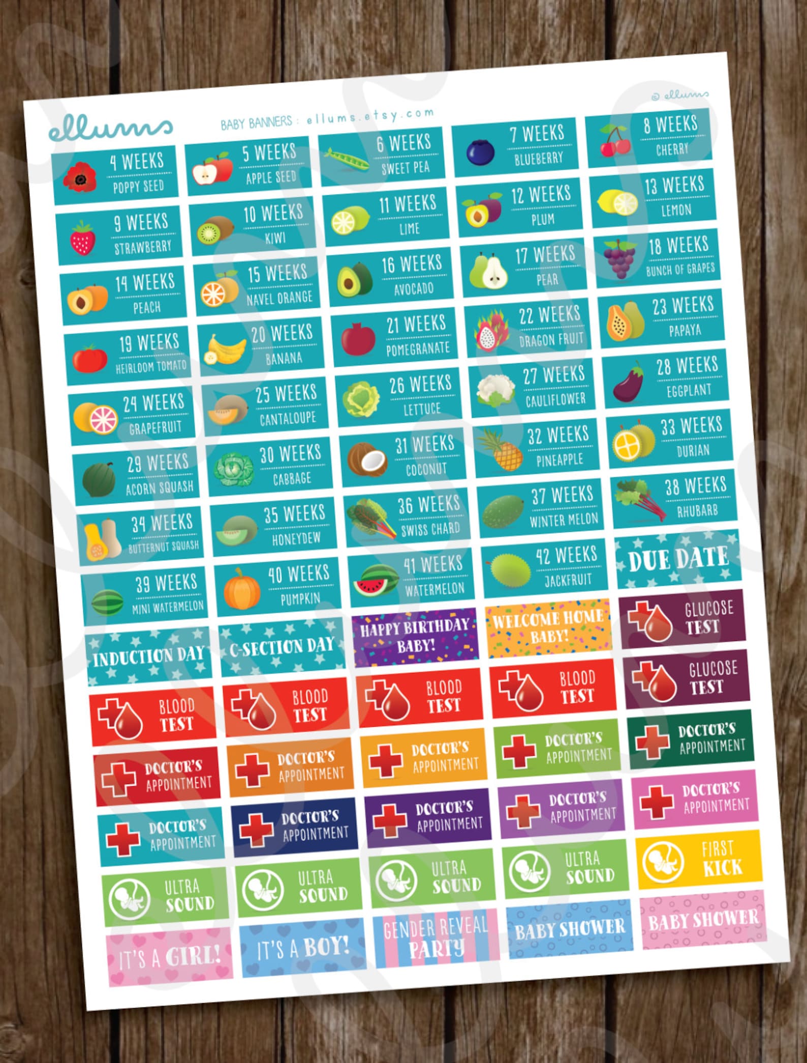 Pregnancy Planner Stickers PRINTABLE Instant Download DIY - Etsy