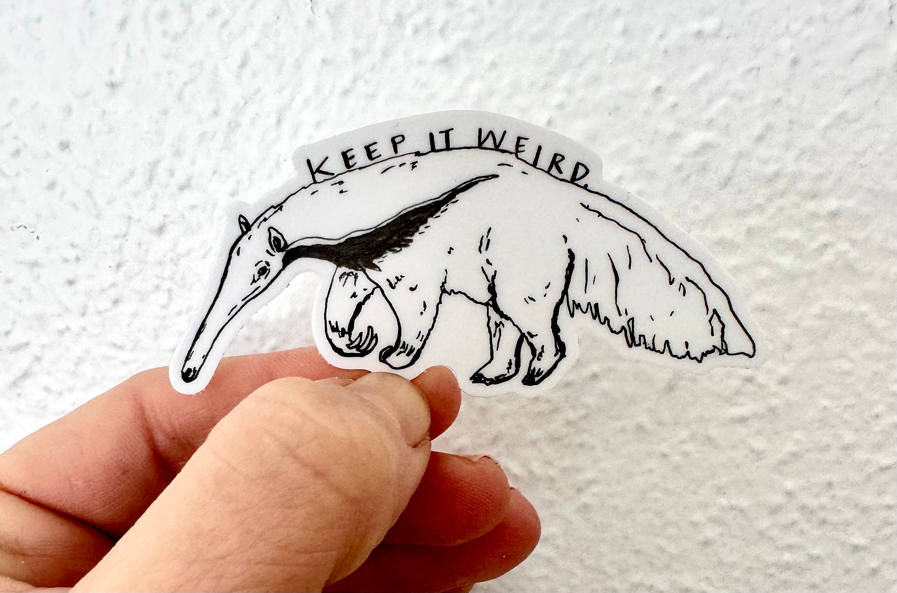 Keep It Weird Anteater Sticker/decal (3.5inx3.5in) Outdoor Safe ...