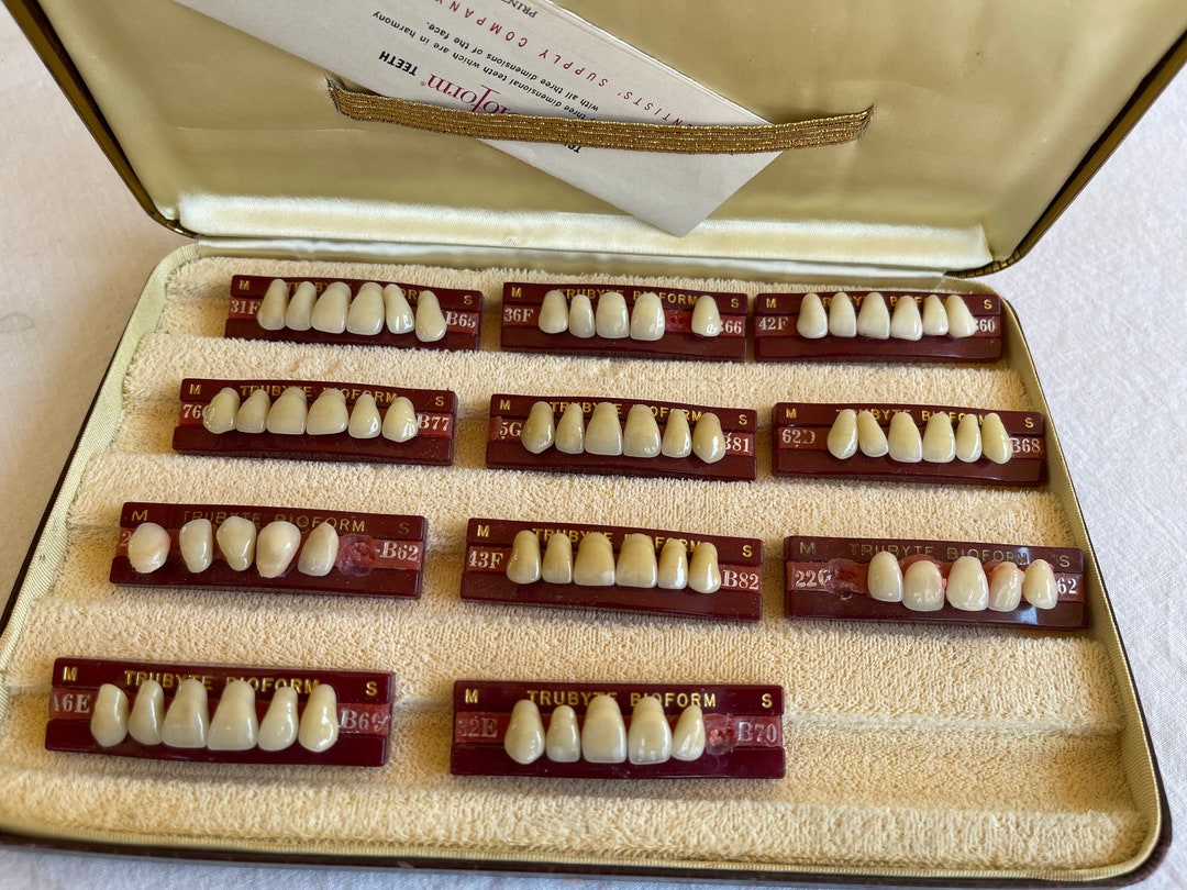 Vintage Trubyte Bioform Teeth - 1950s - Etsy