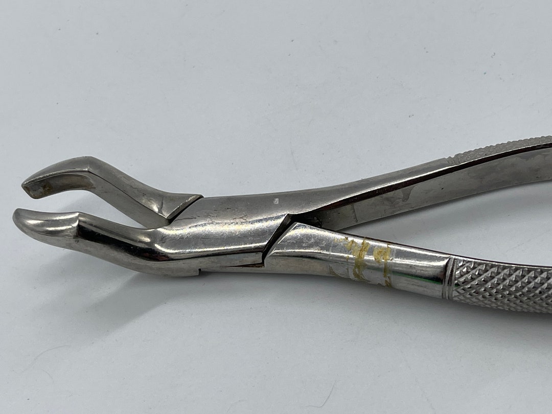 Dental Lower Molar Extractor TARNO #42 - Etsy