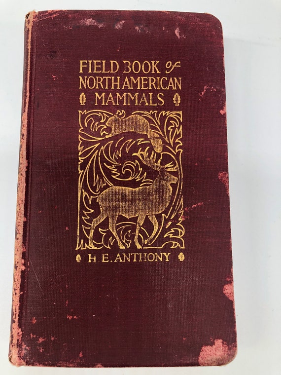 Vintage Field Book of North American Mammals by H.E. Anthony - Etsy
