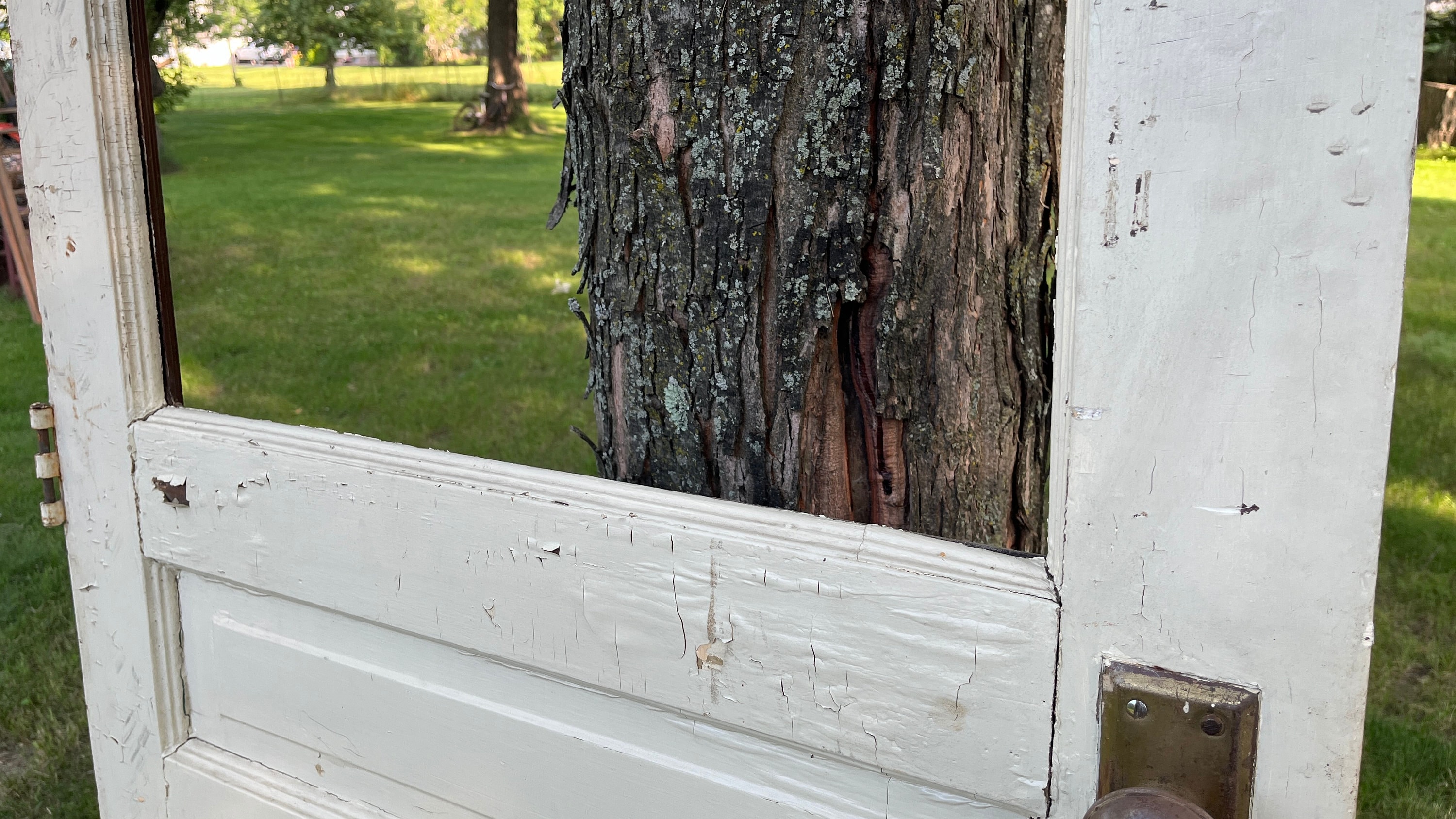 Antique Single Pane Wood Panel Entry Door NO GLASS, Reclaimed ...