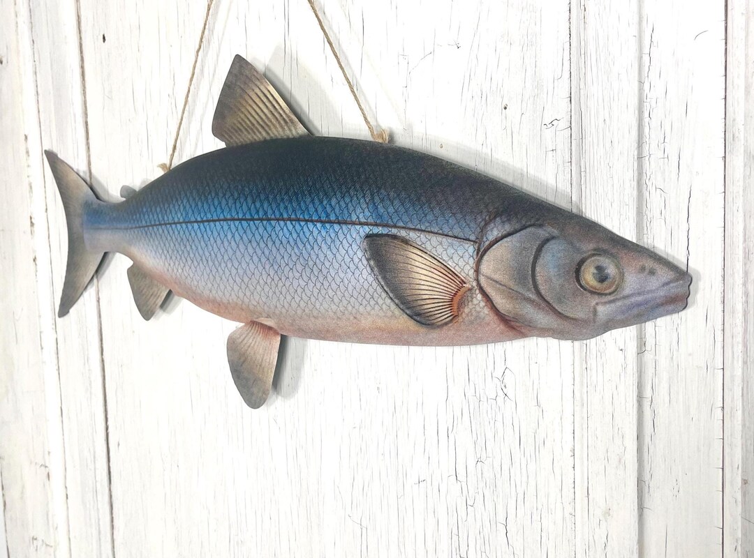 Blue Salmon Fish Sculpture Metal Wall Art Fishing Sign Lodge Lakehouse ...