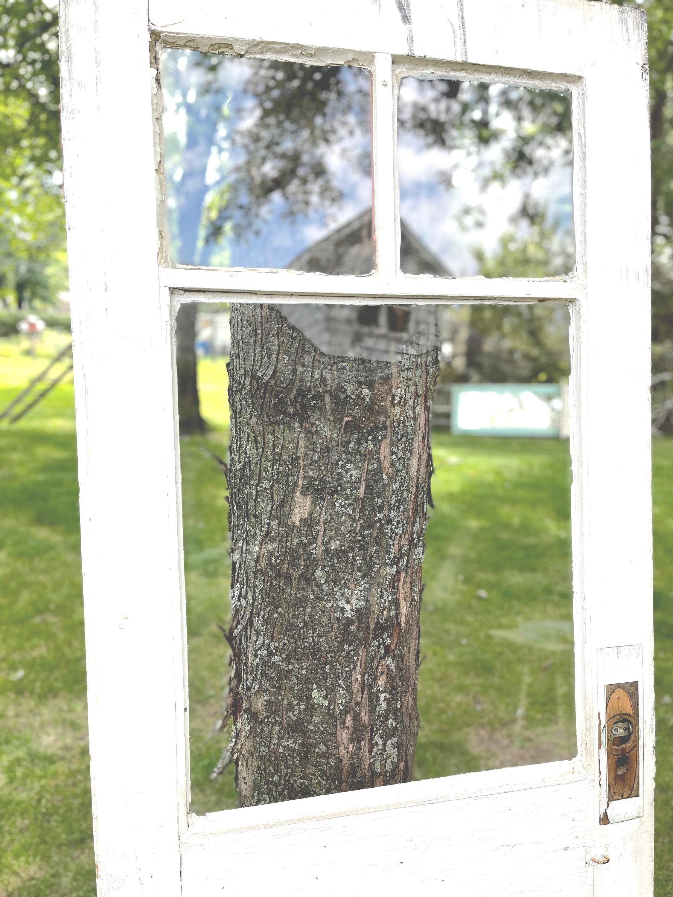 Antique Wood Wavy Glass Exterior Entry Door, Reclaimed, Architectural ...