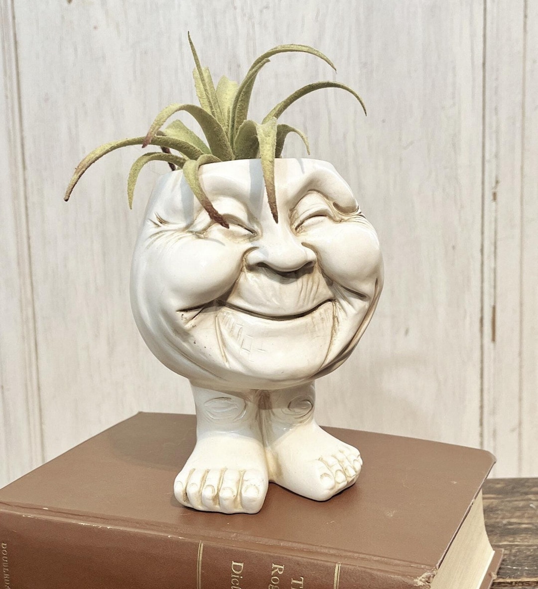 Funny Face Planter: Humorous Figural Resin Flower Pot - Etsy