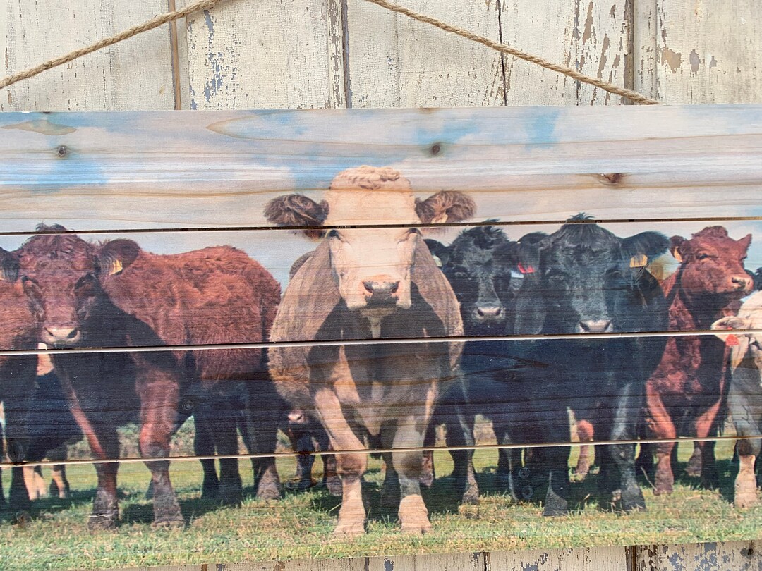 Cow Cattle Herd Wall Hanging Rustic Farmhouse Cow Wall Art Farm Wall ...