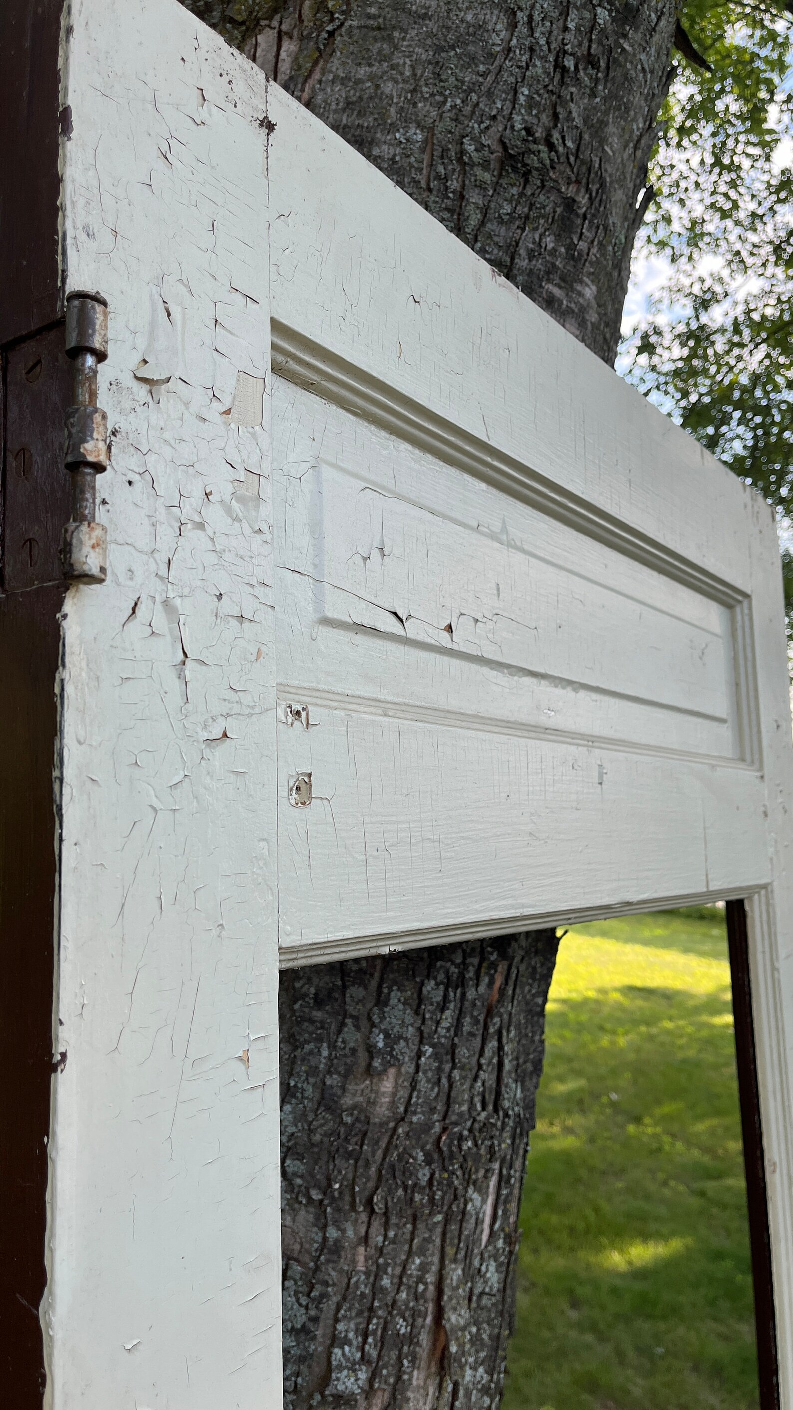 Antique Single Pane Wood Panel Entry Door NO GLASS, Reclaimed ...
