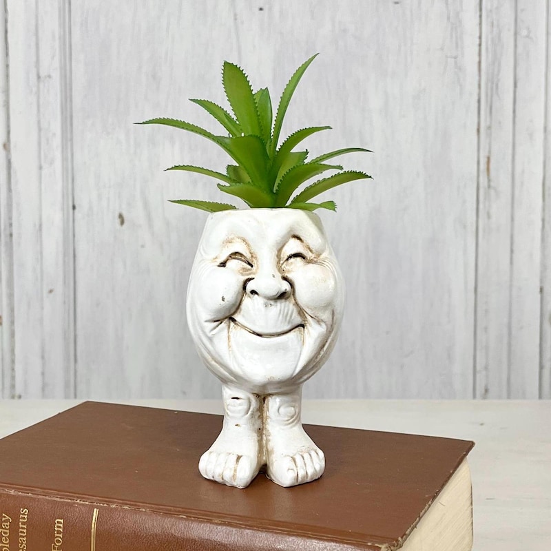 Flower Pots With Faces - Etsy