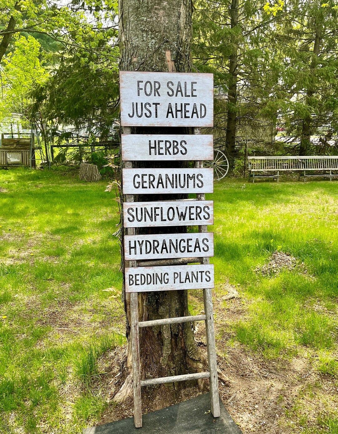 Farmers Market Flowers for Sale Sign Perennials Herbs Geranium Porch ...