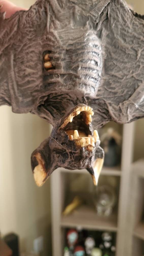 Mummified Bat Halloween Prop | Etsy