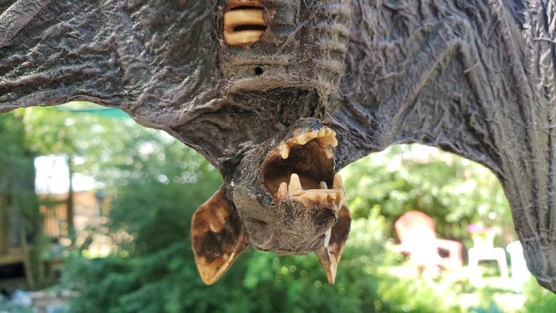 Mummified Bat Halloween Prop - Etsy