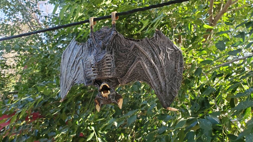 Mummified Bat Halloween Prop | Etsy