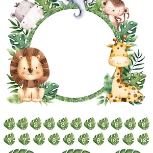 Wee Safari Baby Fabric Panel by Northcott Fabrics - Etsy