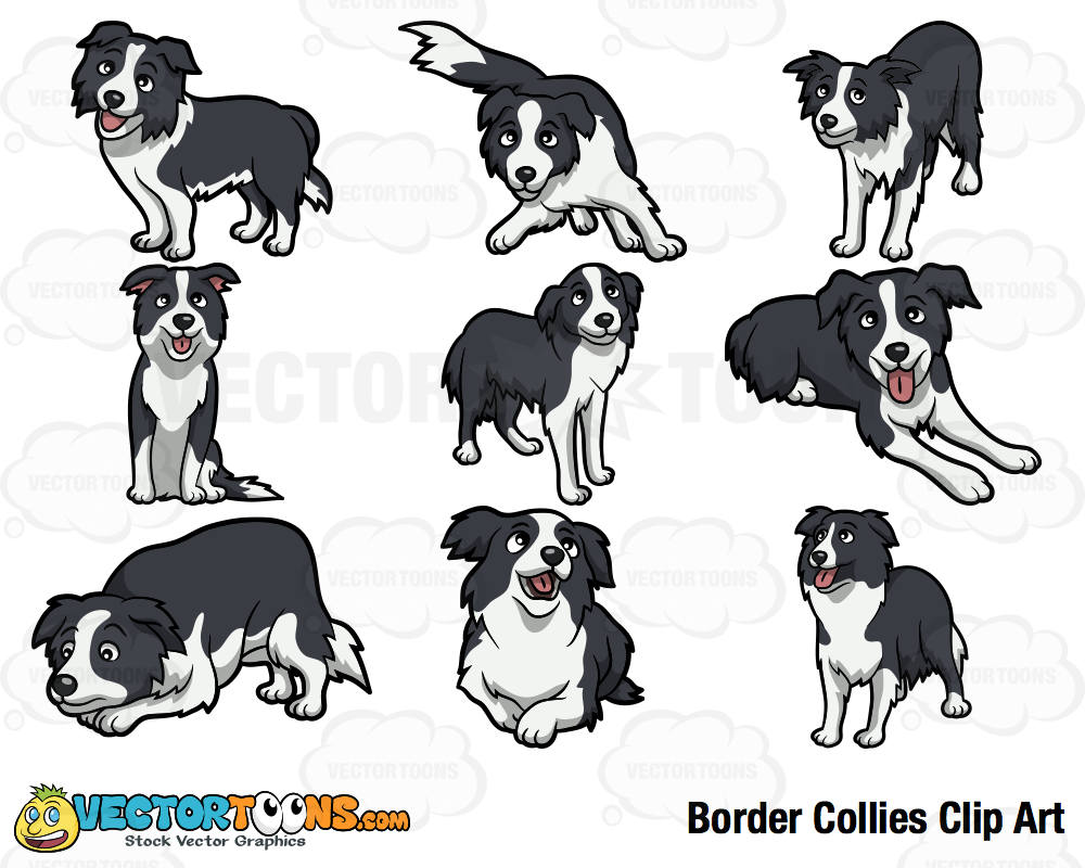 Border Collies Clip Art Digital Clipart Digital Graphics | Etsy