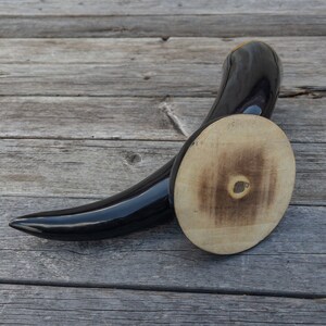 Viking Cornucopia Display Horn With Built-in Stand Authentic Bovine ...