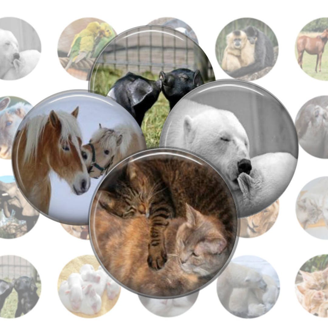 Affectionate Animal Collage Sheet, 1 Inch Circles, 20 Images, Printable ...
