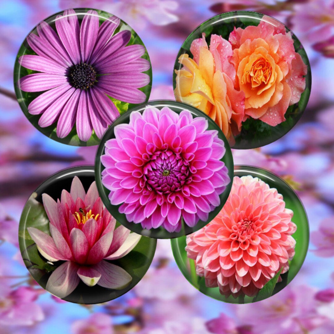 Flowers Collage Sheet, 1 Inch Circles, 42 Images, Instant Download ...