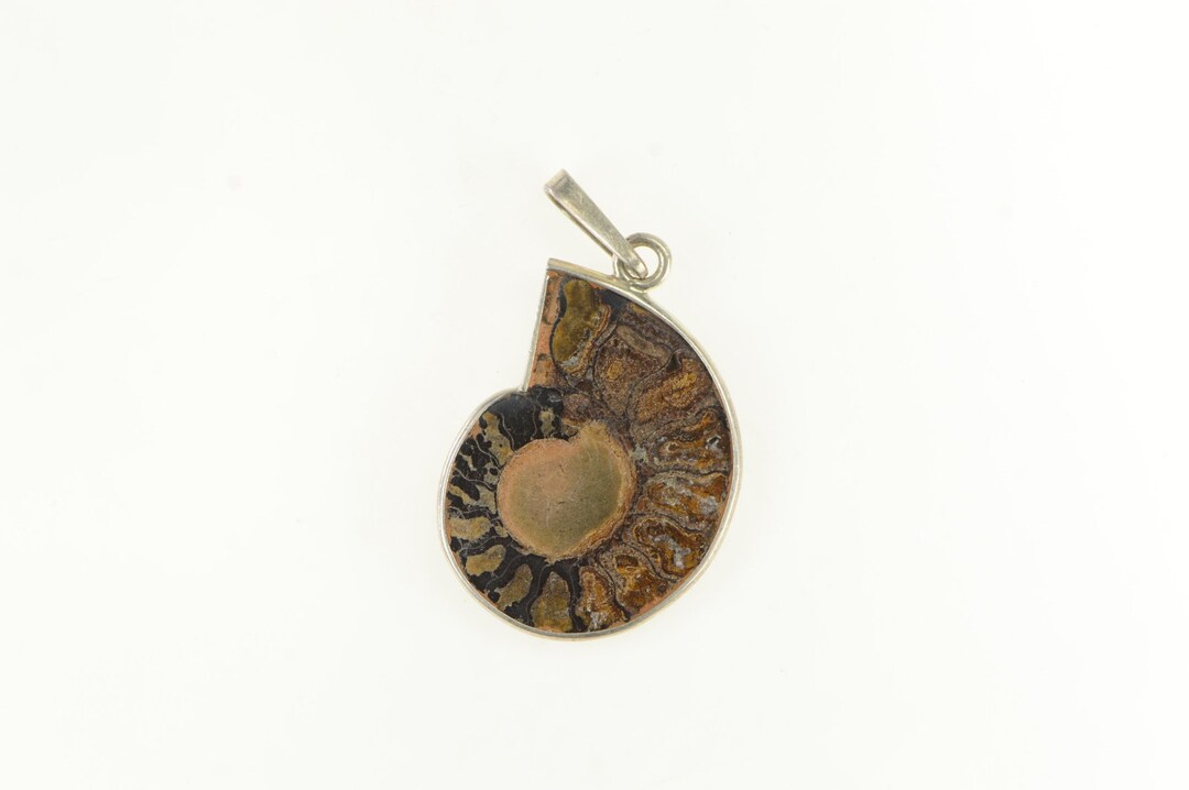 Sterling Silver Ammonite Fossil Shell Crystal Medallion Pendant - Etsy