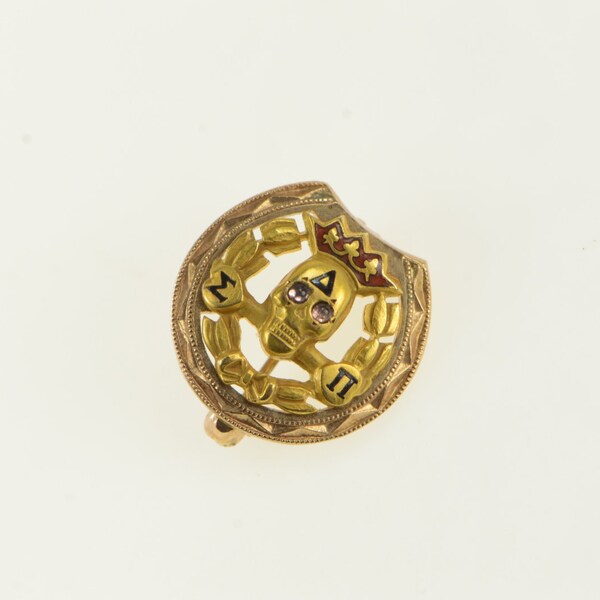 Delta Gamma Flag - Etsy