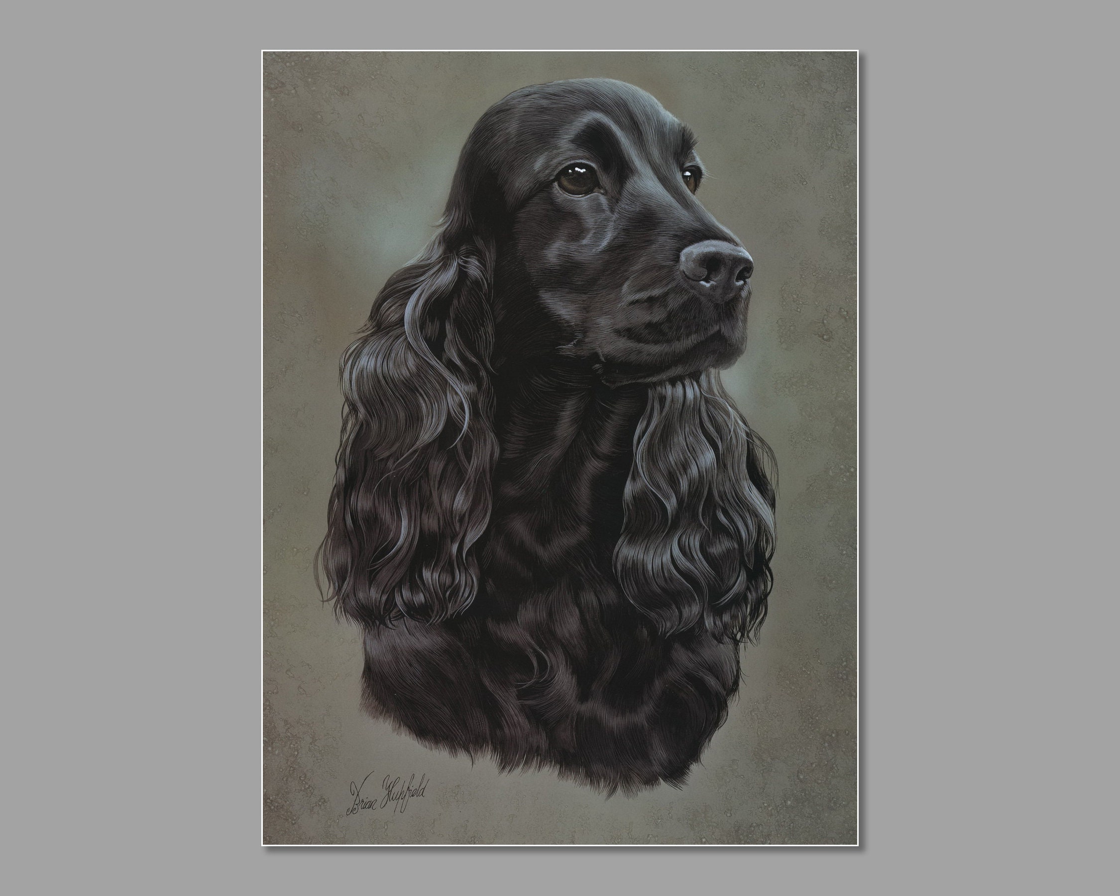 Black Cocker Spaniel Print by Brian Hupfield FREE UK POSTAGE - Etsy UK