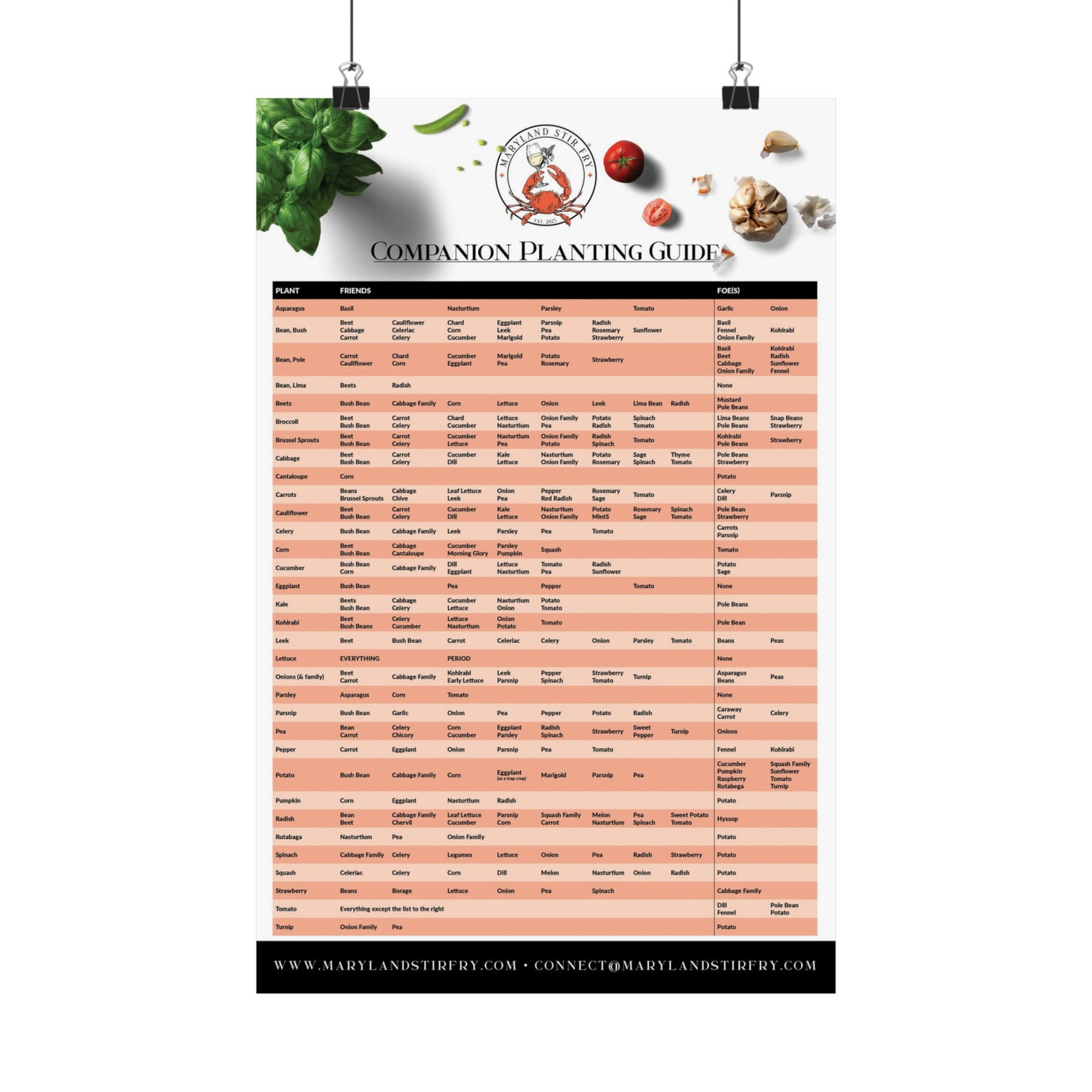 Companion Planting Poster - Digital Download - Etsy