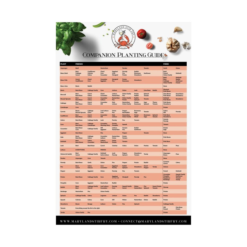 Companion Planting Poster - Digital Download - Etsy