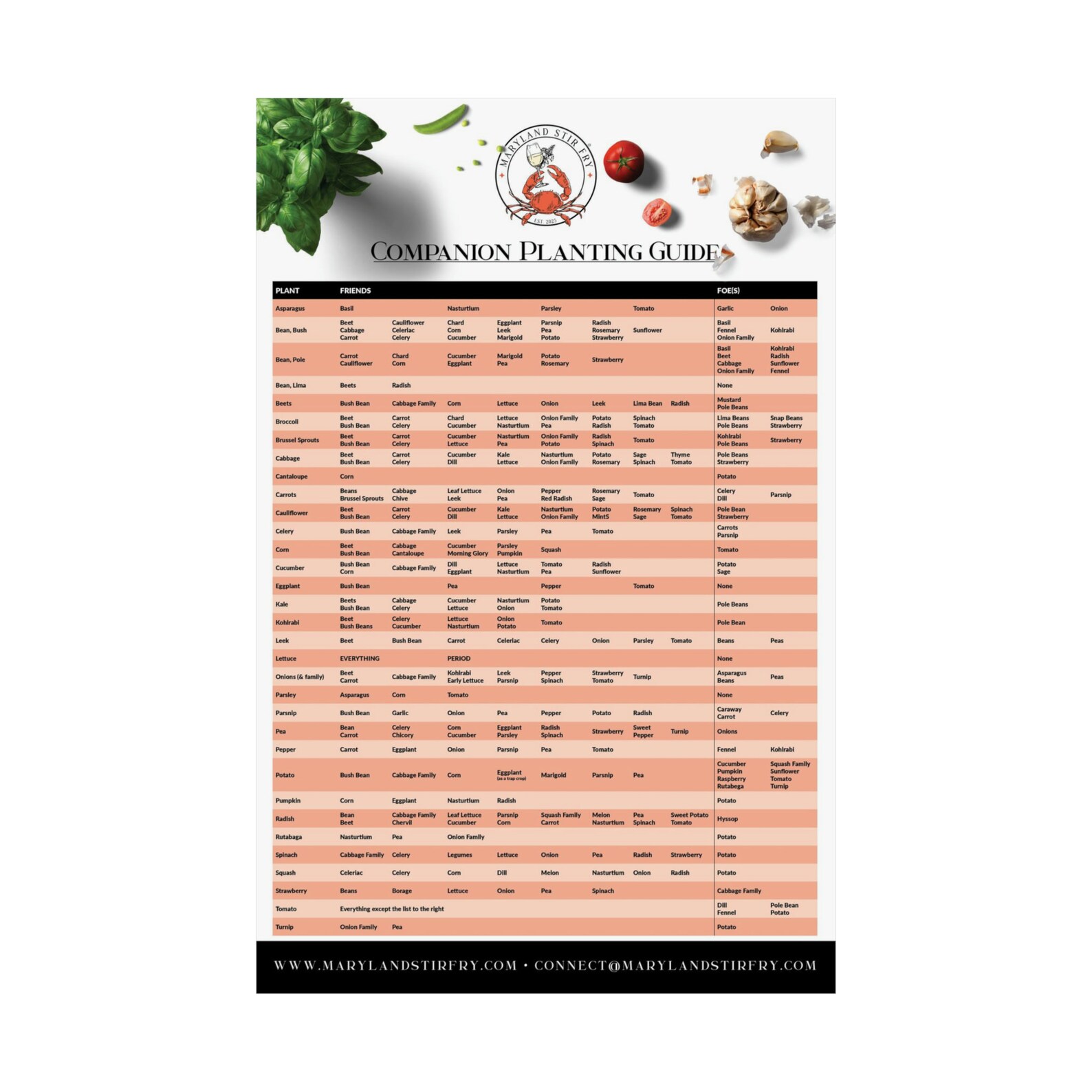 Companion Planting Poster - Digital Download - Etsy