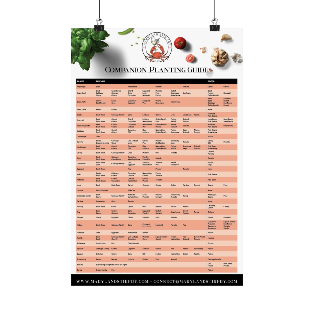 Companion Planting Poster - Digital Download - Etsy